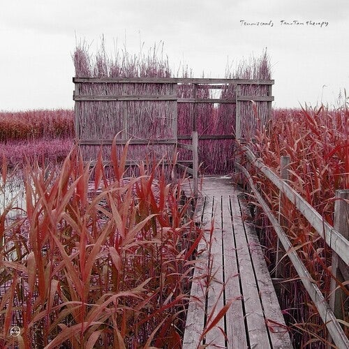 Tenniscoats TAN-TAN THERAPY Vinyl Record