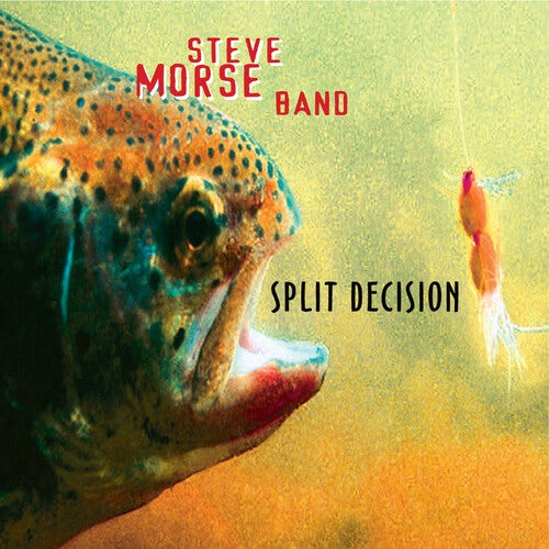 Steve Morse Band Split Decision Green Vinyl Record