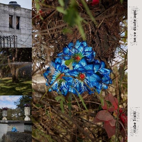 Mabe Fratti SE VE DESDE AQUI Vinyl Record