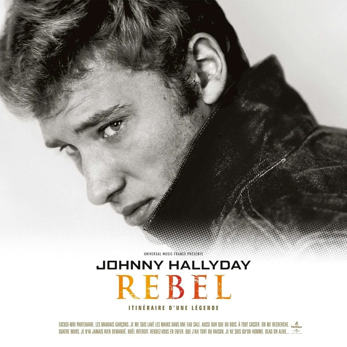 Johnny Hallyday REBEL Vinyl Record