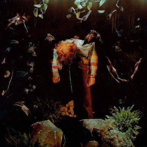 Cavetown WORM FOOD Vinyl Record