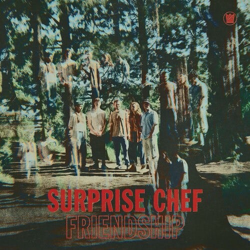 Surprise Chef FRIENDSHIP EP Vinyl Record