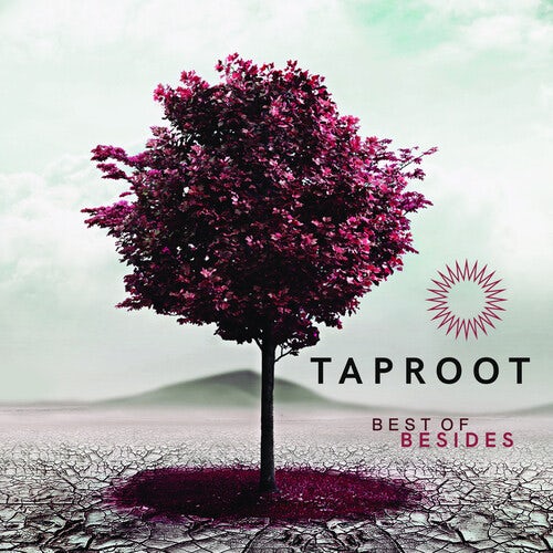 Taproot BEST OF BESIDES CD