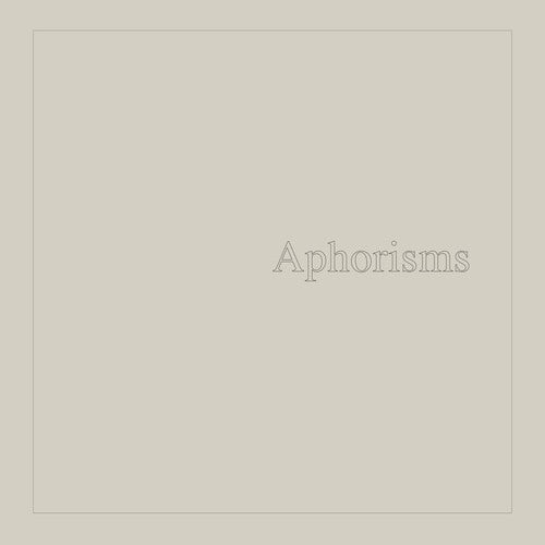 Graham Lambkin APHORISMS Vinyl Record