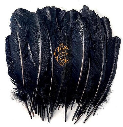 David Eugene Edwards HYACINTH Vinyl Record