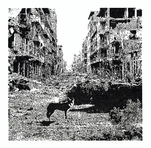 VoX LoW KEEP ON FALLING Vinyl Record
