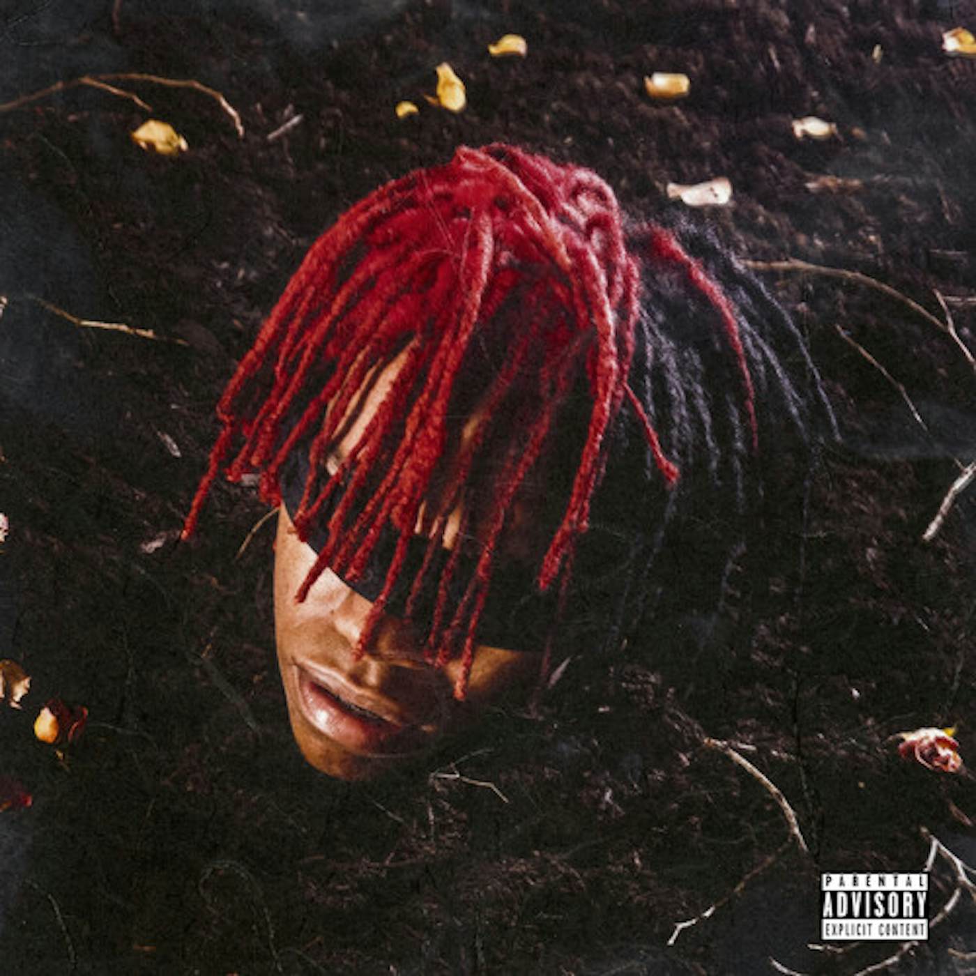 DC The Don FUNERAL Vinyl Record