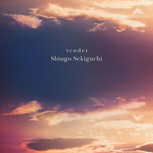 Shingo Sekiguchi TENDER Vinyl Record