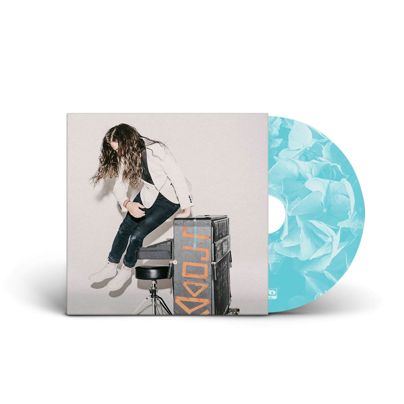 J. Roddy Walston & The Business - Destroyers of the Soft Life CD