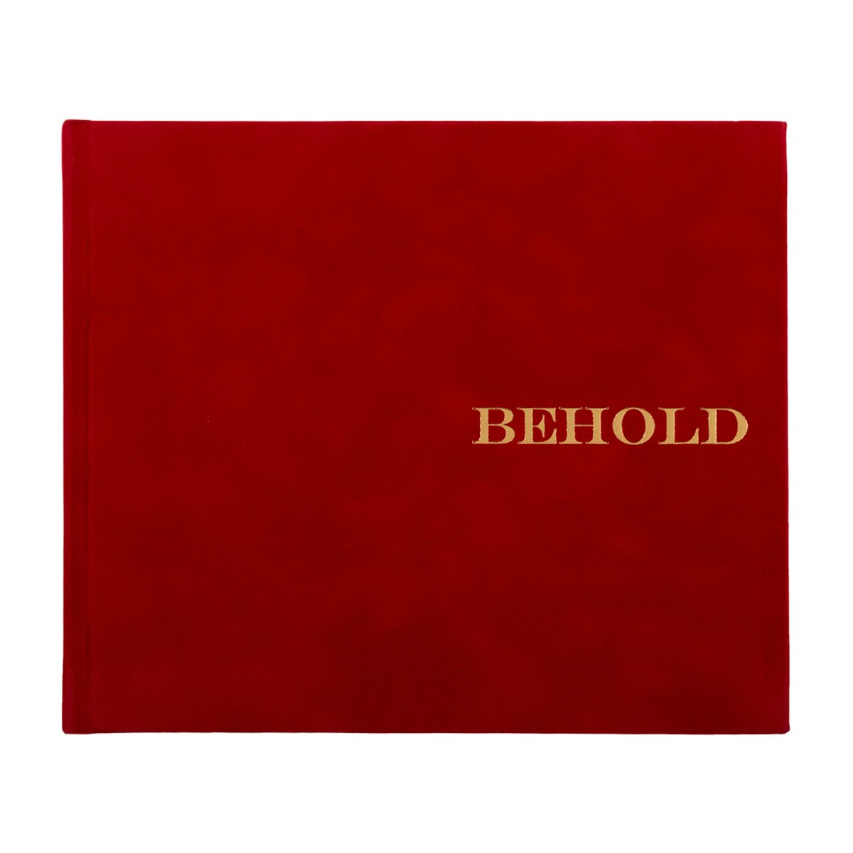 Lauren Daigle Behold Book