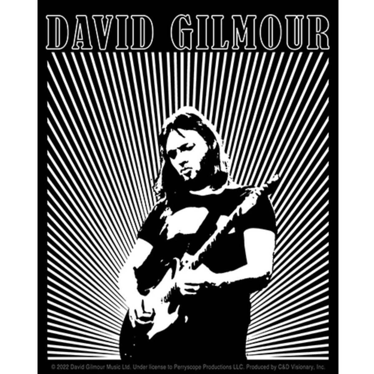 David Gilmour Lines Logo Sticker