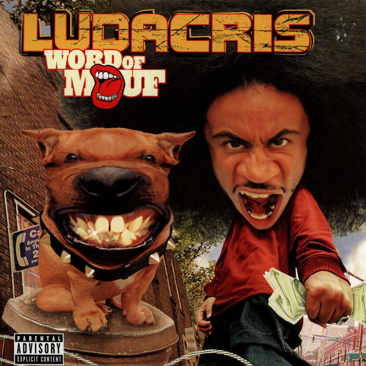 Ludacris Shirts, Ludacris Merch, Ludacris Hoodies, Ludacris Vinyl ...
