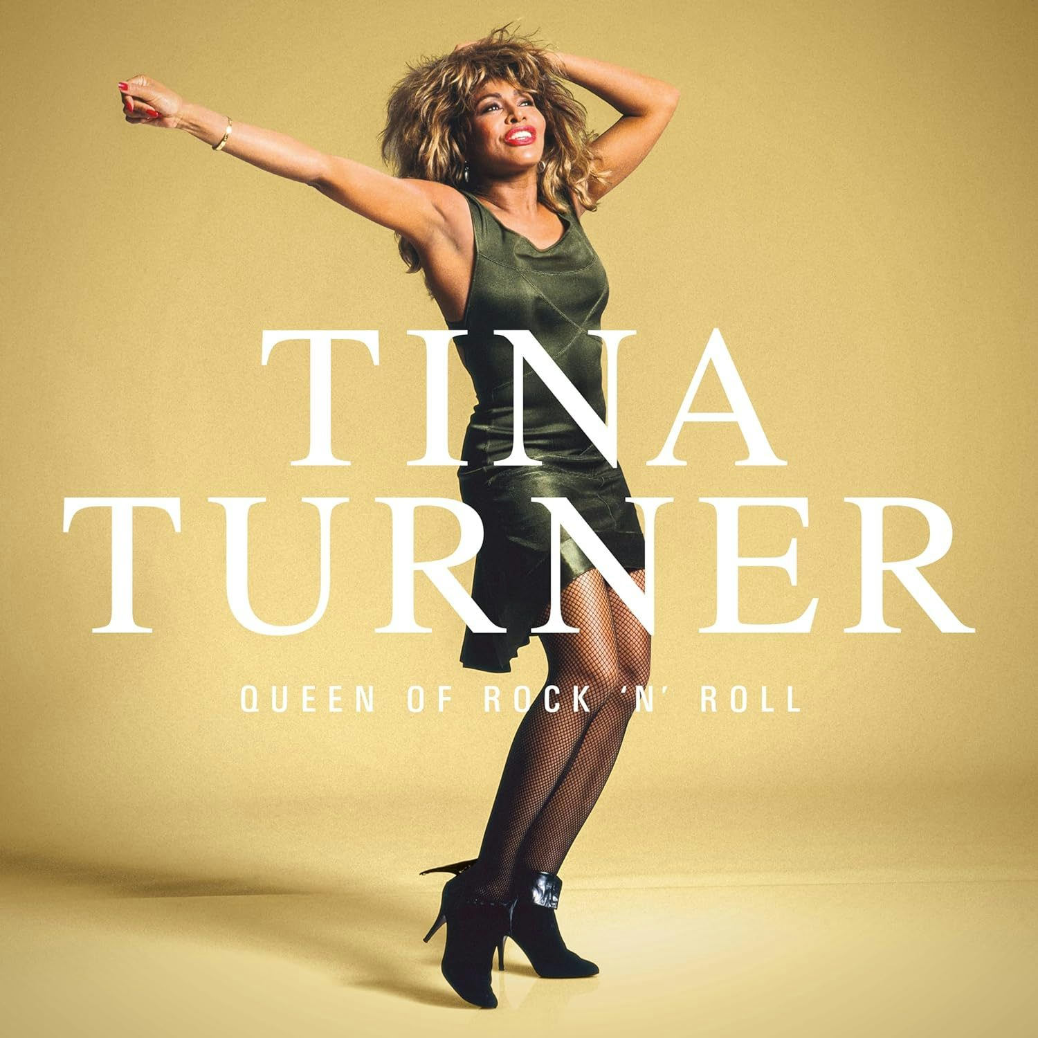 Tina Turner - Queen of Rock N Roll (Vinyl)