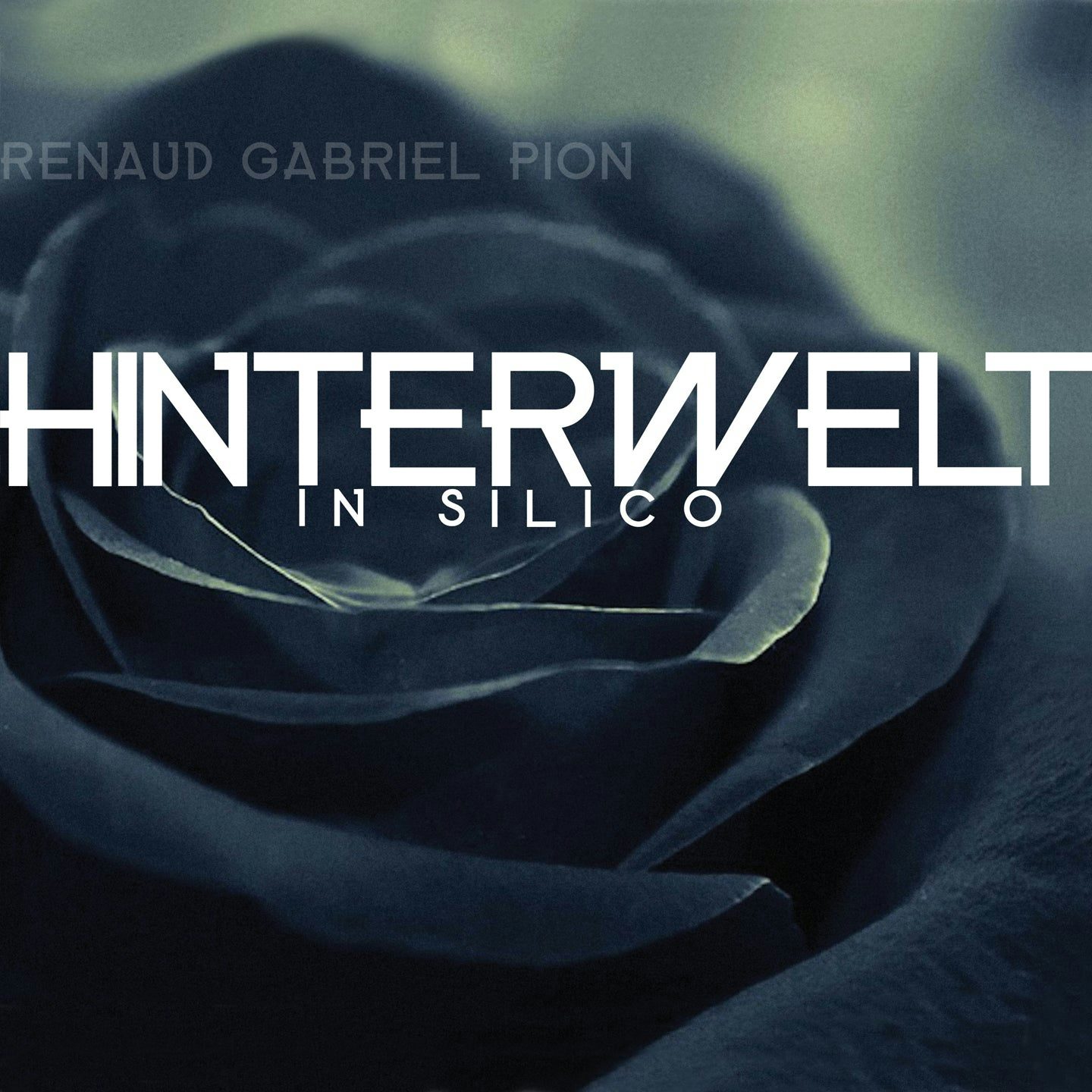 HINTERWELT IN SILICO - RENAUD GABRIEL PION (CD)
