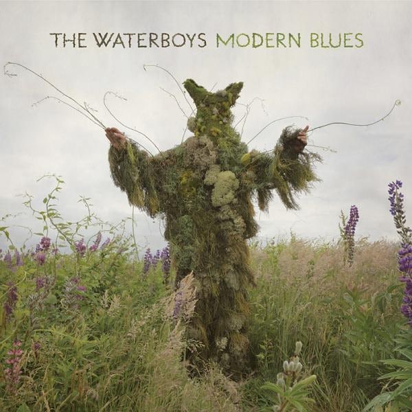 The Waterboys Modern Blues CD