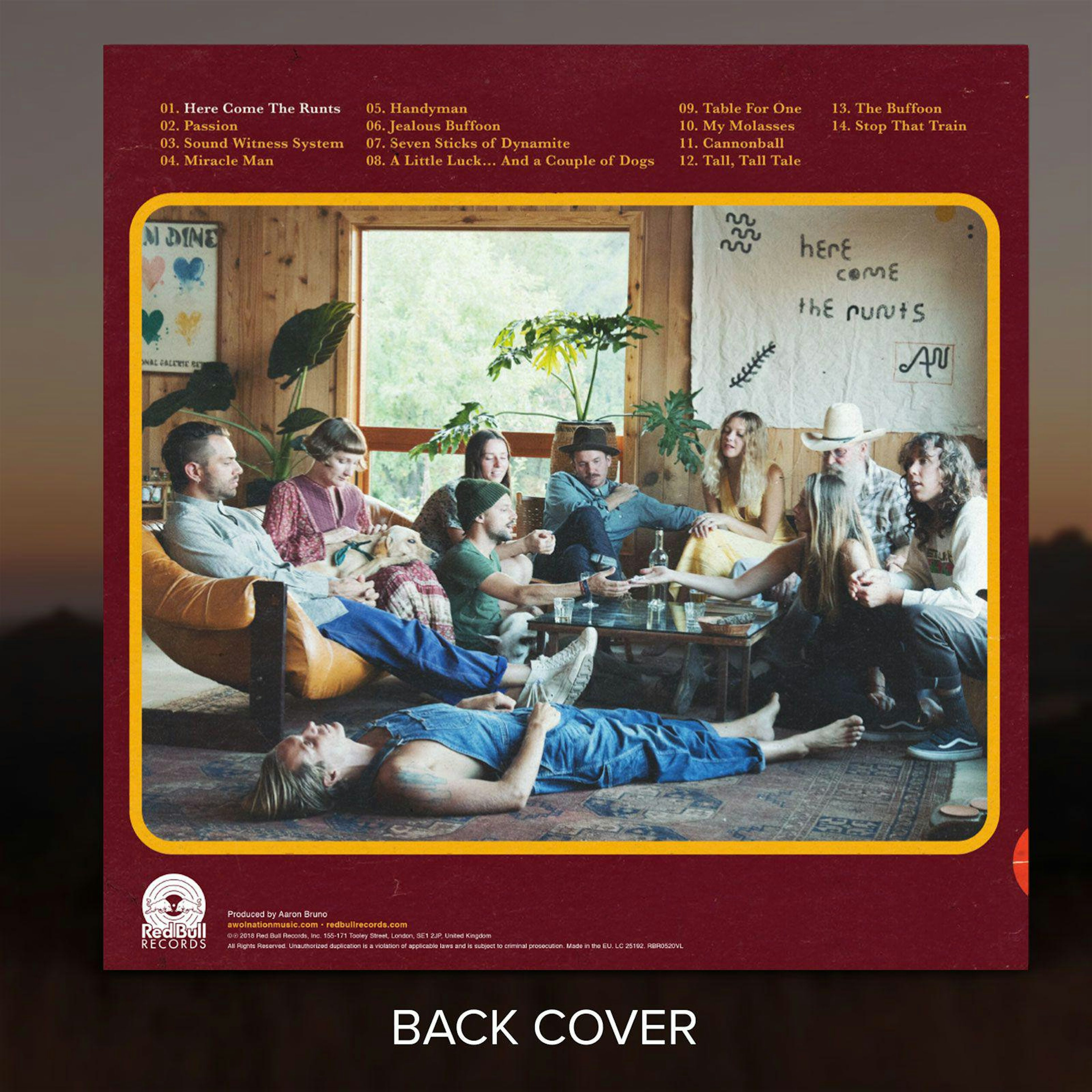 AWOLNATION HERE COME THE RUNTS Vinyl Record