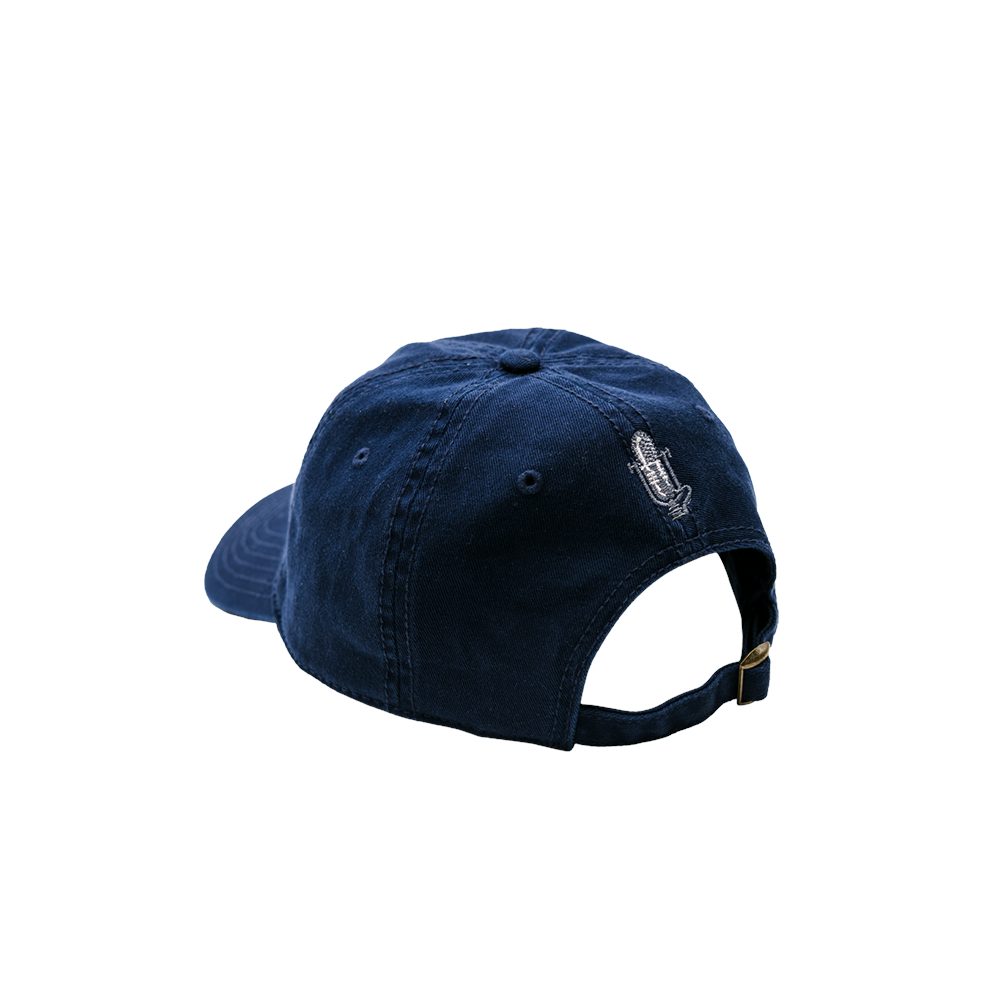 Capitol Records Store: Official Merch & Vinyl