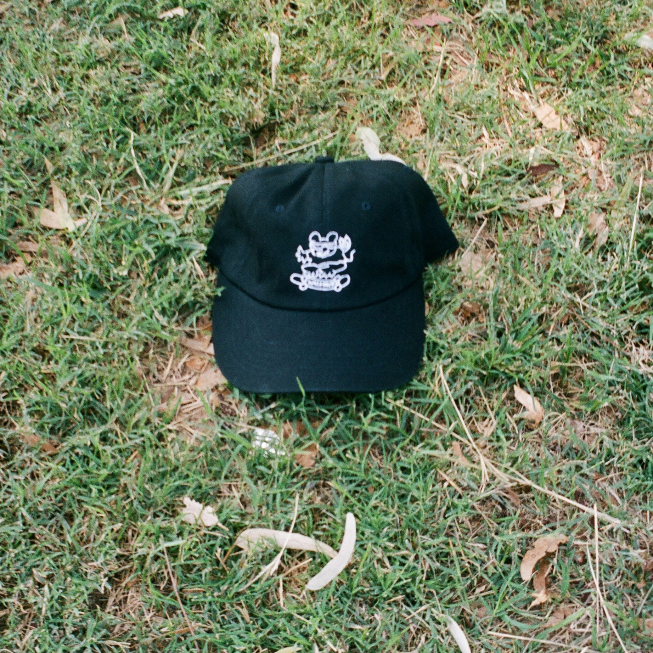 Wallows SPRING Vinyl Record