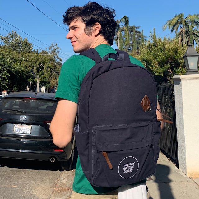 Wallows SPRING Vinyl Record