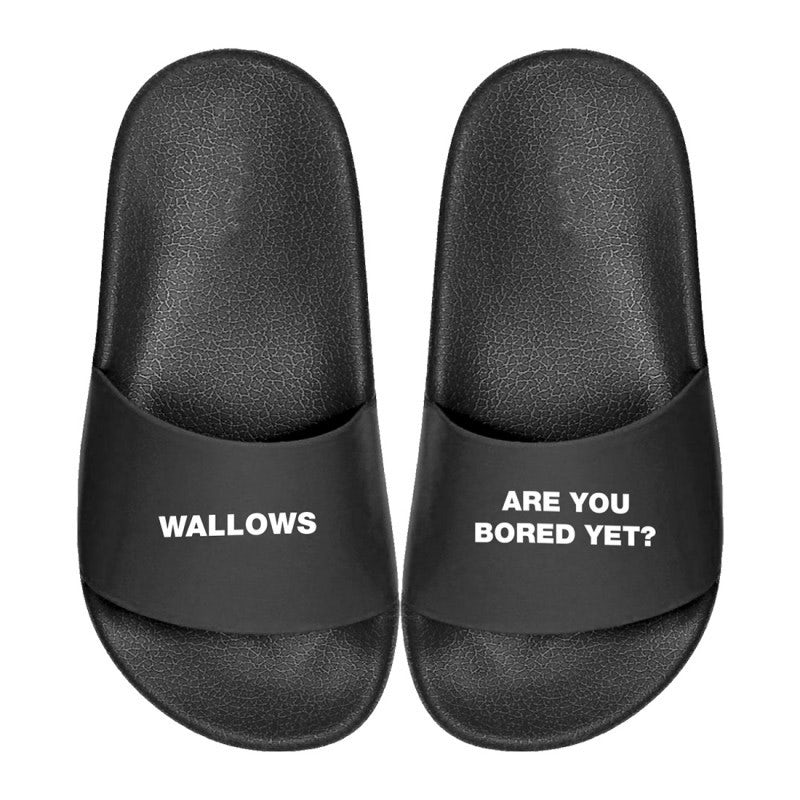 Wallows Store: Official Merch & Vinyl