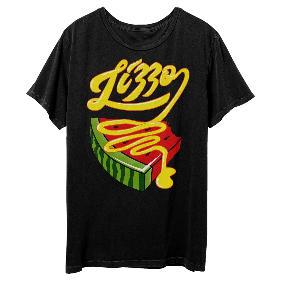 Lizzo Bussin or Disgustin T-Shirt