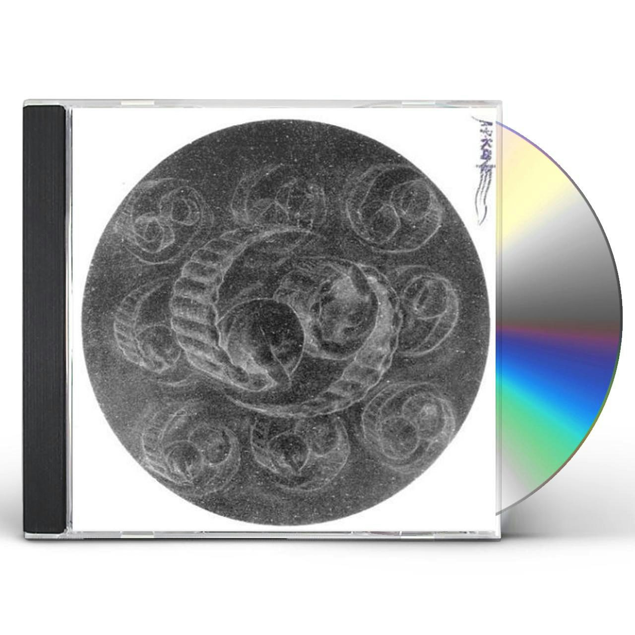 A.R. Kane Store: Official Merch & Vinyl