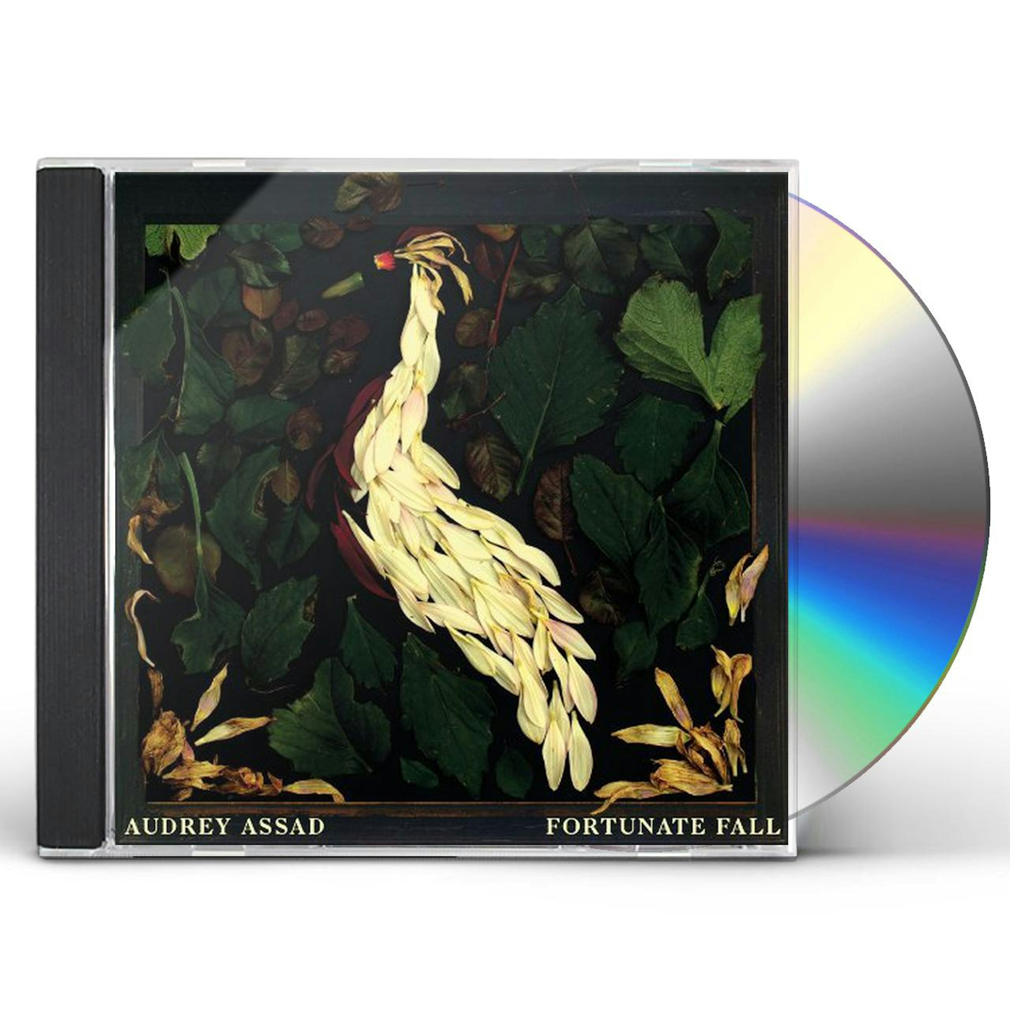 Audrey Assad FORTUNATE FALL CD