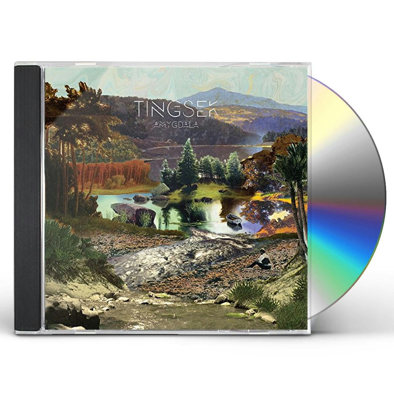 Tingsek AMYGDALA CD