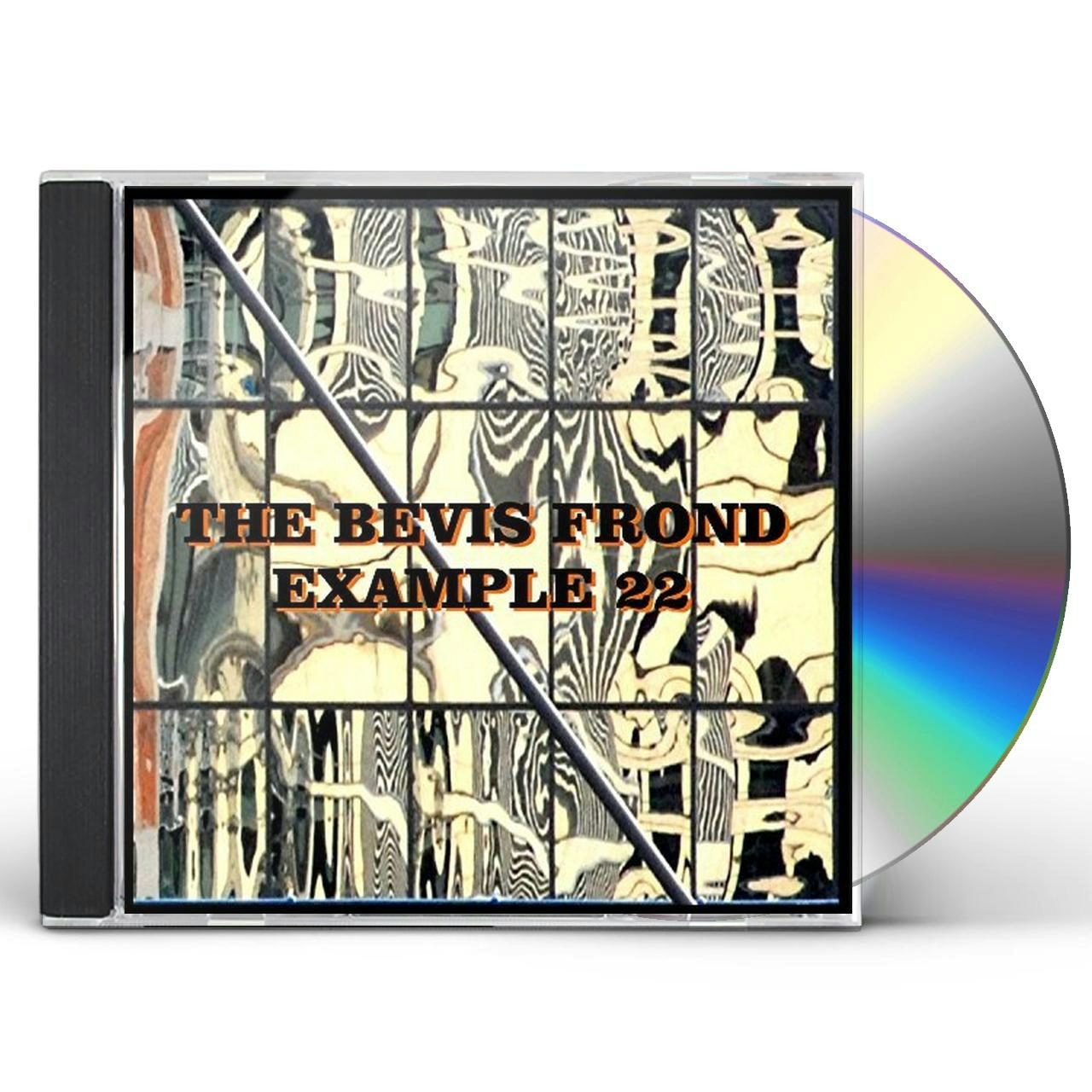 The Bevis Frond EXAMPLE 22 CD