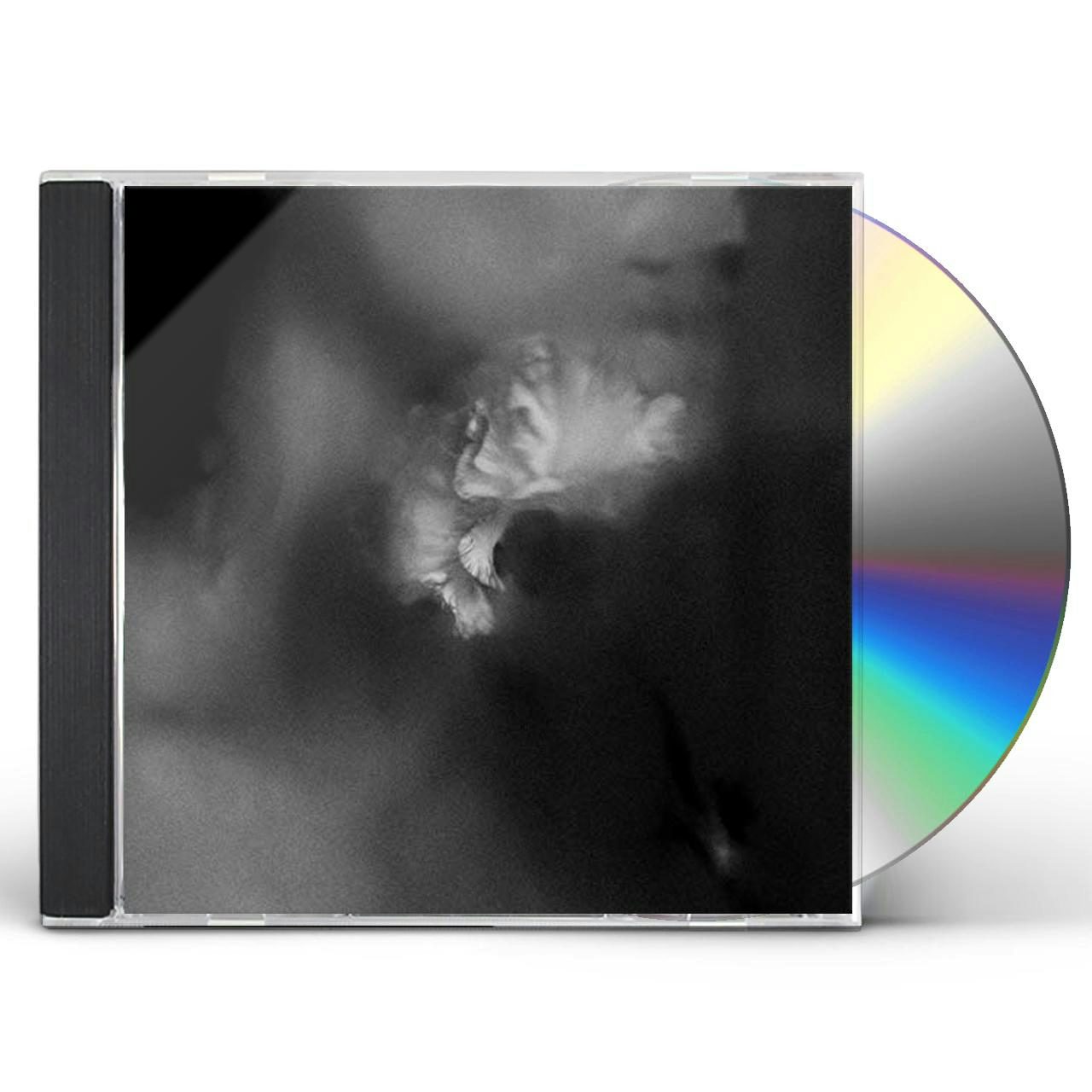 Holding Absence Shirts, Holding Absence Merch, Holding Absence Hoodies ...