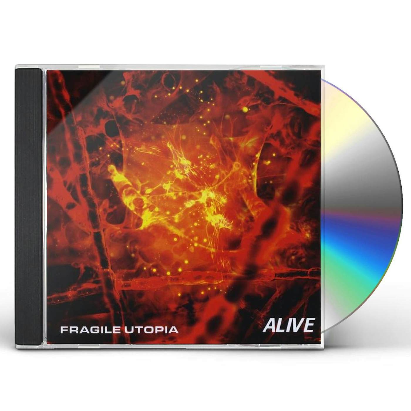 Fragile Utopia Store Official Merch And Vinyl