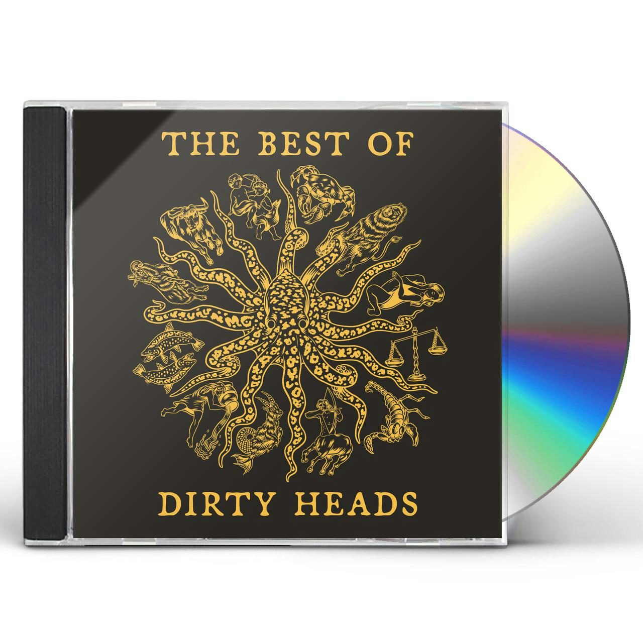 Dirty Heads Store: Official Merch & Vinyl