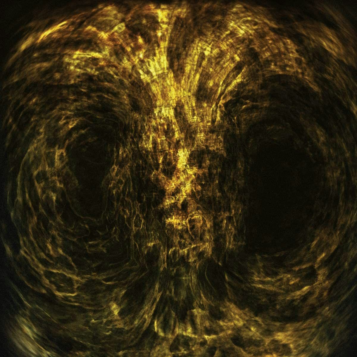 Impetuous Ritual Iniquitous Barbarik Synthesis (2LP) Vinyl Record