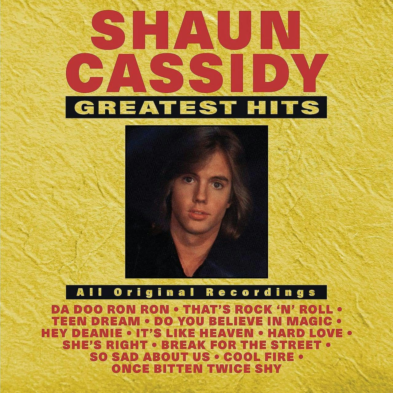 Shaun Cassidy GREATEST HITS Vinyl Record
