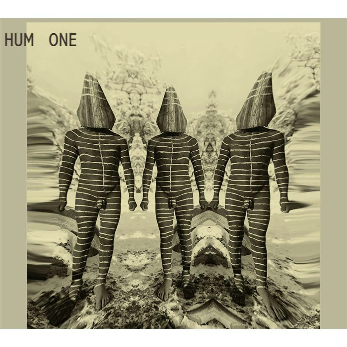 Hum Shirts, Hum Merch, Hum Hoodies, Hum vinyl records, Hum Posters, Hum ...