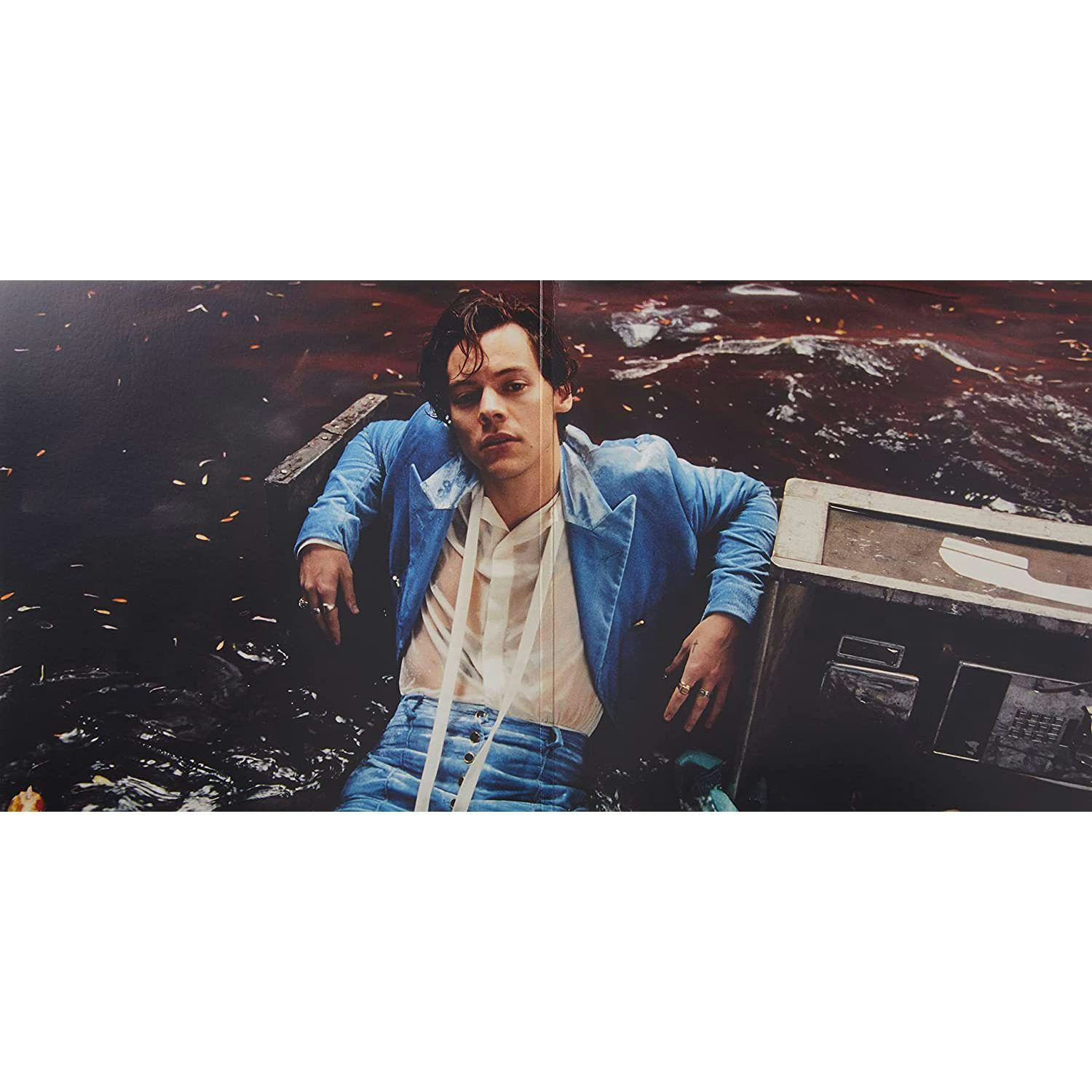 Harry Styles Vinyl Record