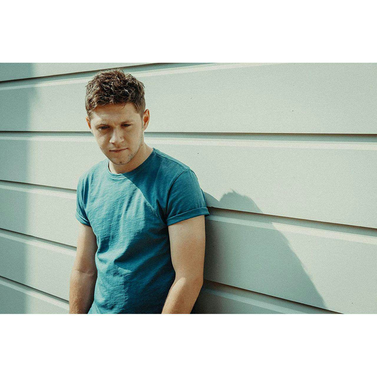 Niall Horan Flicker Vinyl Record