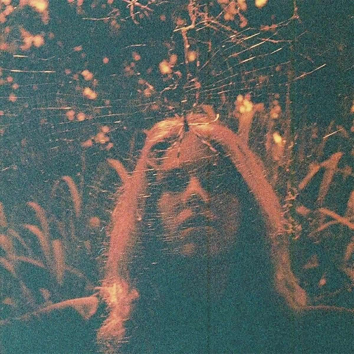 Turnover Peripheral Vision - Clear Orange Vinyl Record