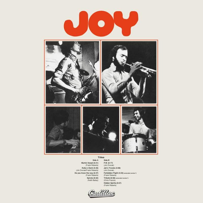 JOY Vinyl Record