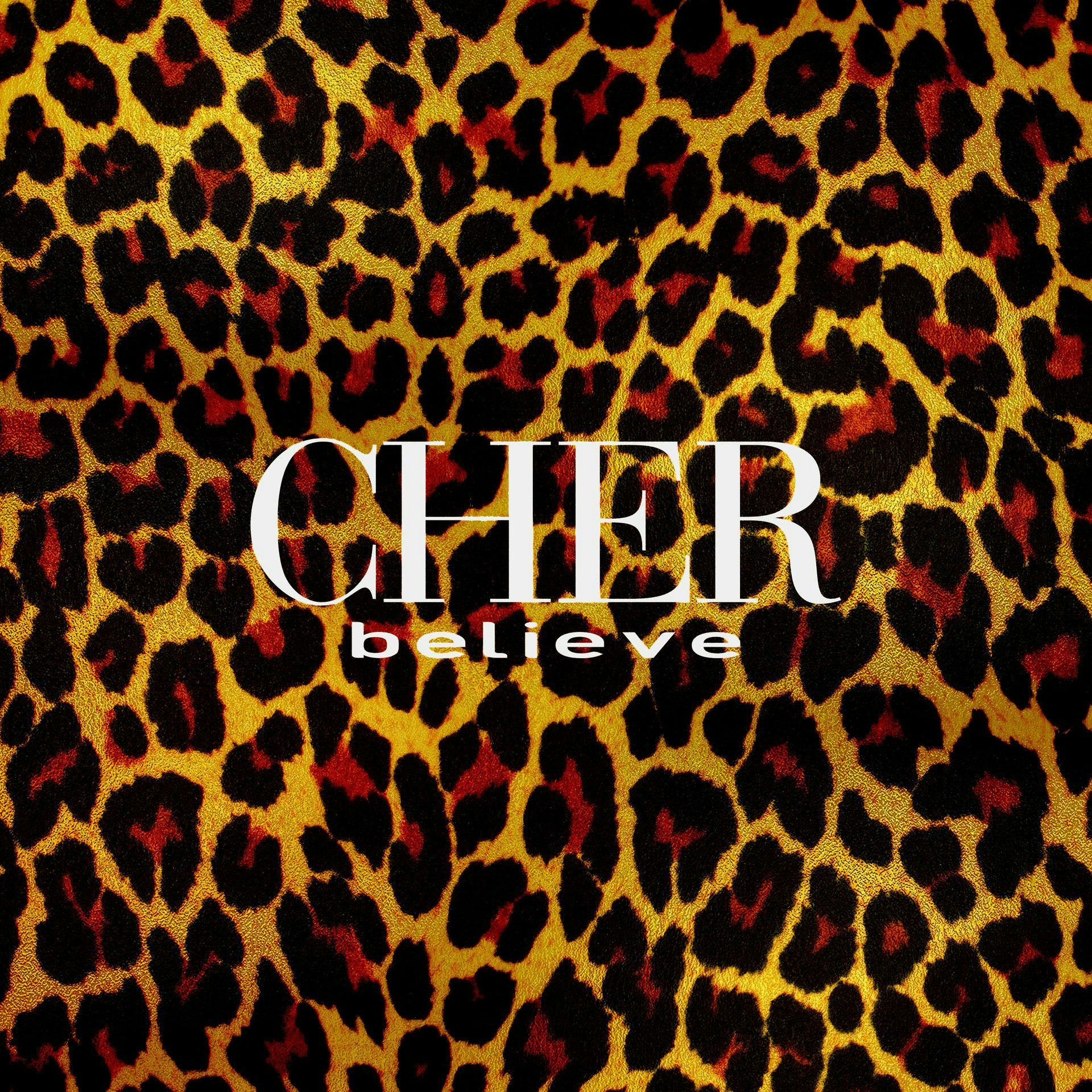23 amazing Cher Shirts, Poster & merch you have to see