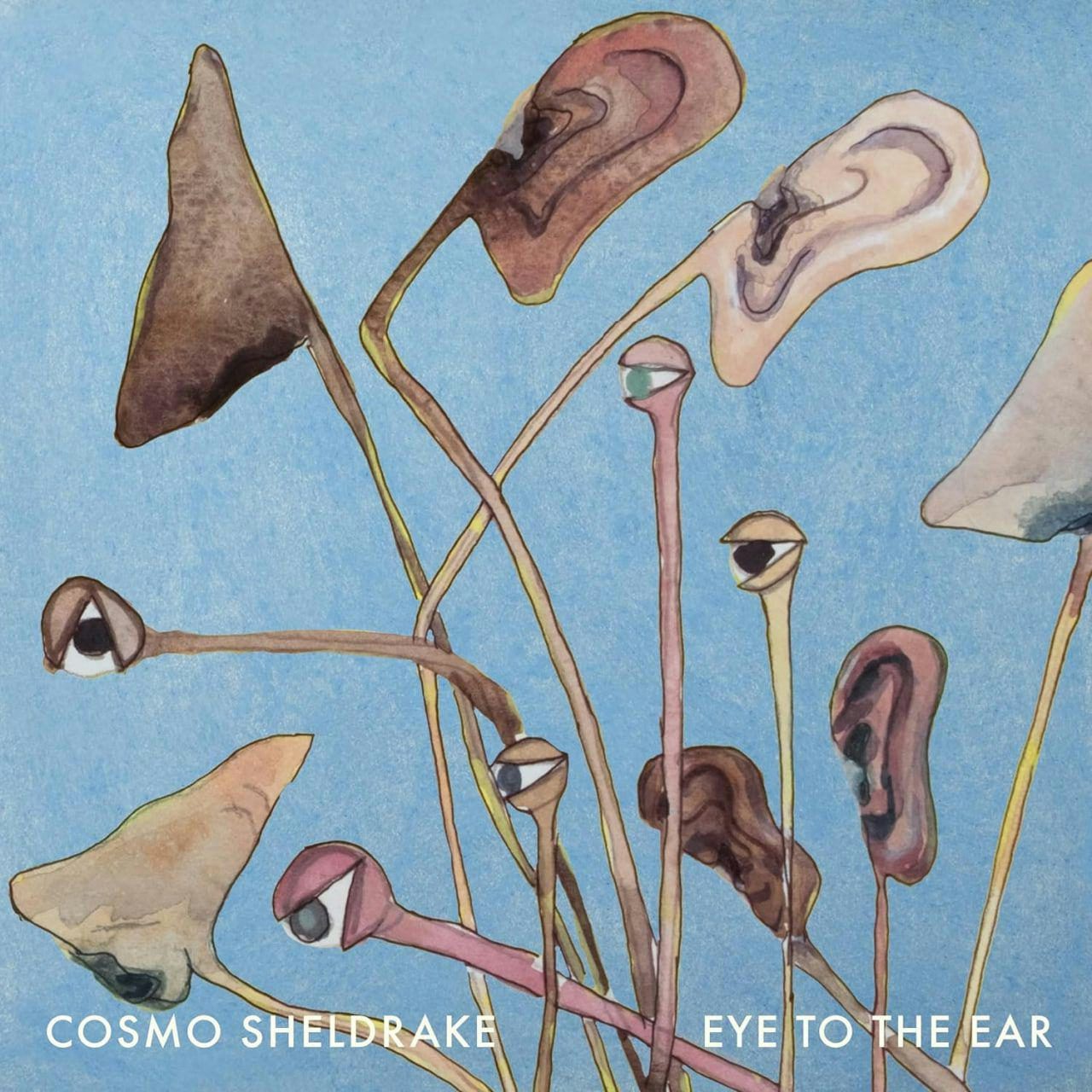 Cosmo Sheldrake EYE TO THE EAR Vinyl Record