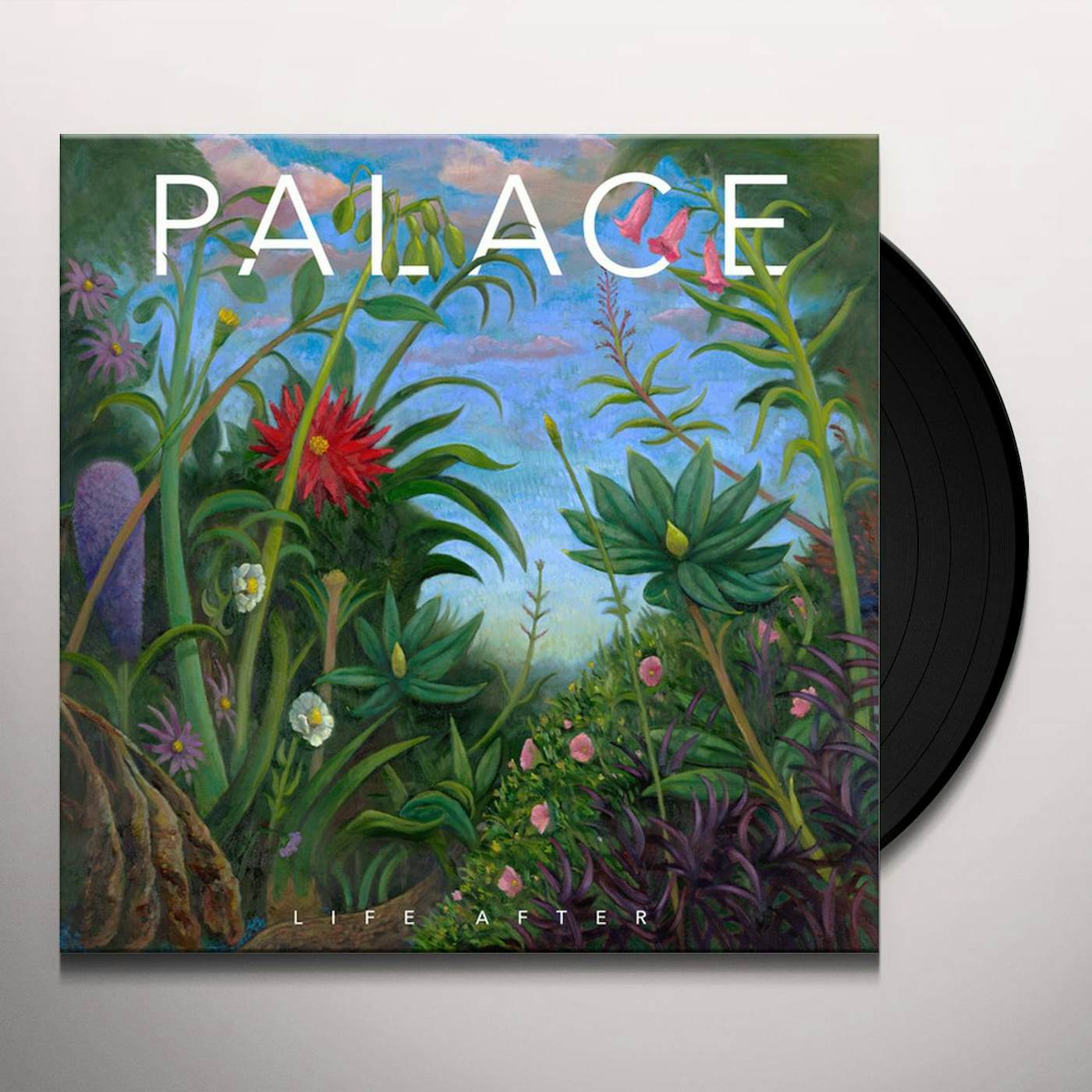 Palace Life After Vinyl Record