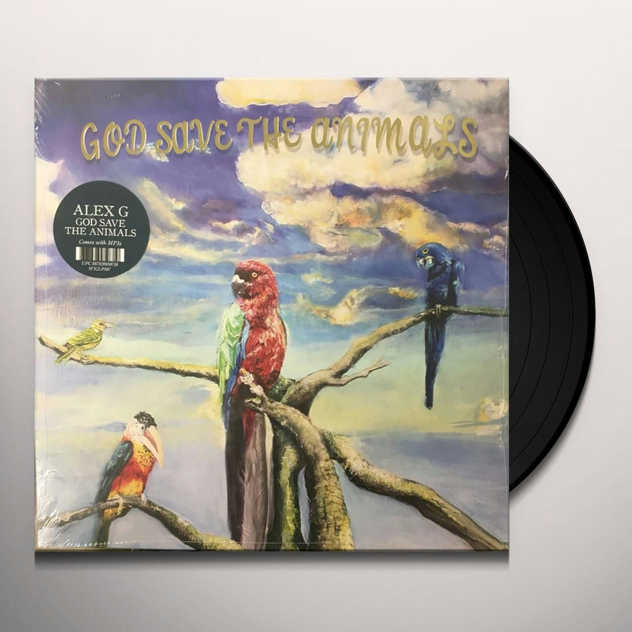 Alex G Shirts, Alex G Merch, Alex G Hoodies, Alex G Vinyl Records, Alex ...