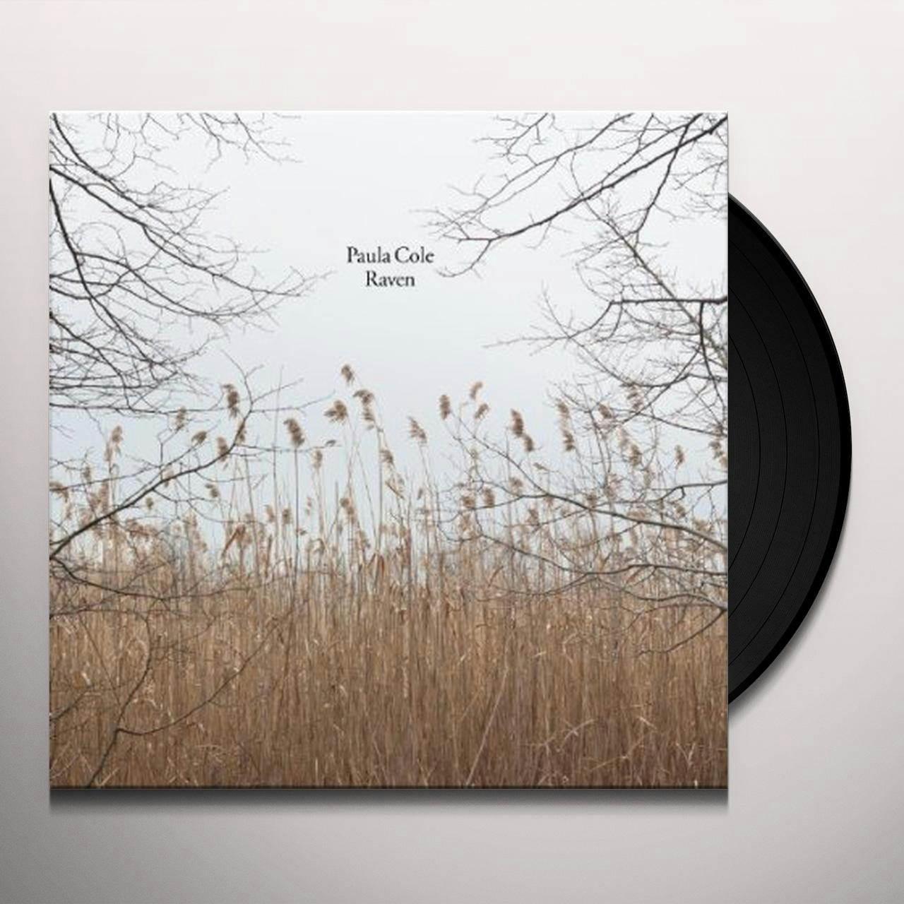 Paula Cole RAVEN Vinyl Record