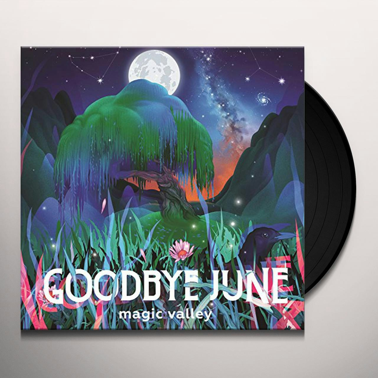 Goodbye June Store: Official Merch & Vinyl
