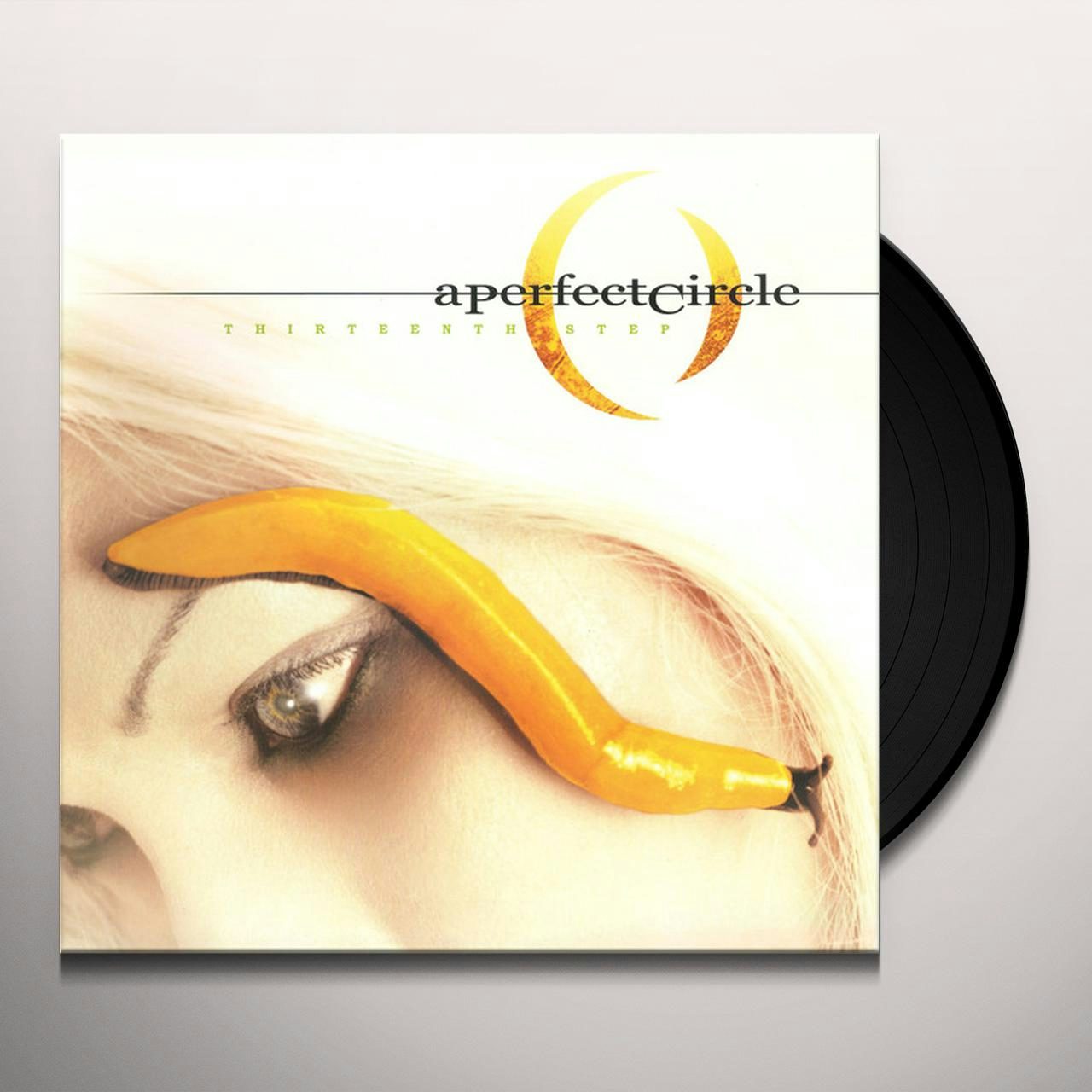 A Perfect Circle THIRTEENTH STEP Vinyl Record