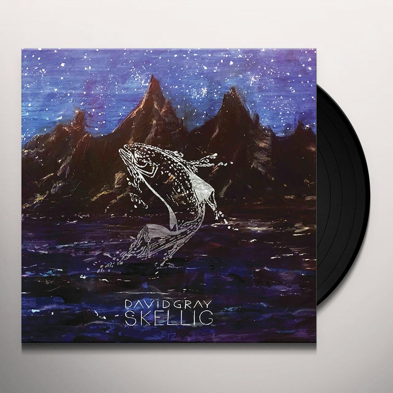 David Gray SKELLIG Vinyl Record