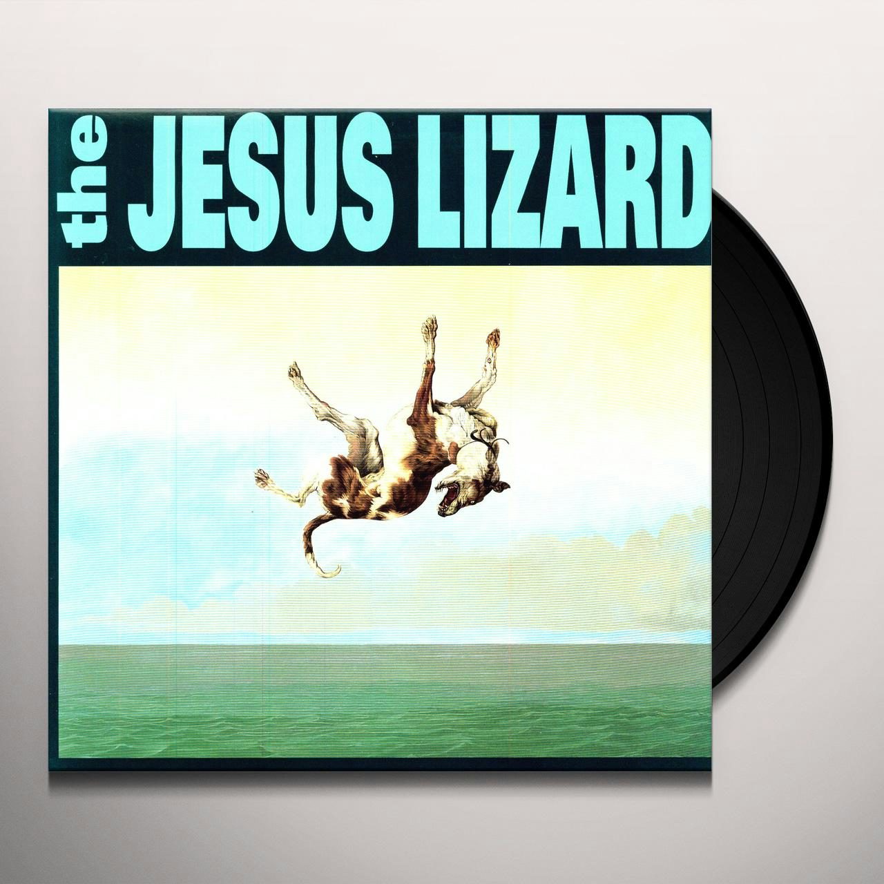 The Jesus Lizard DOWN Vinyl Record