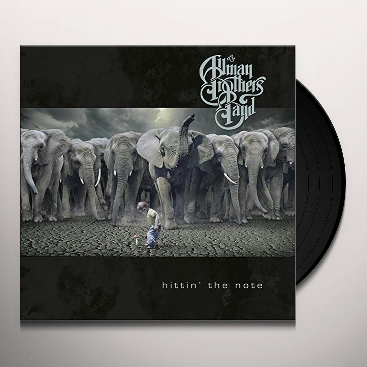 Allman Brothers Band HITTING THE NOTE Vinyl Record