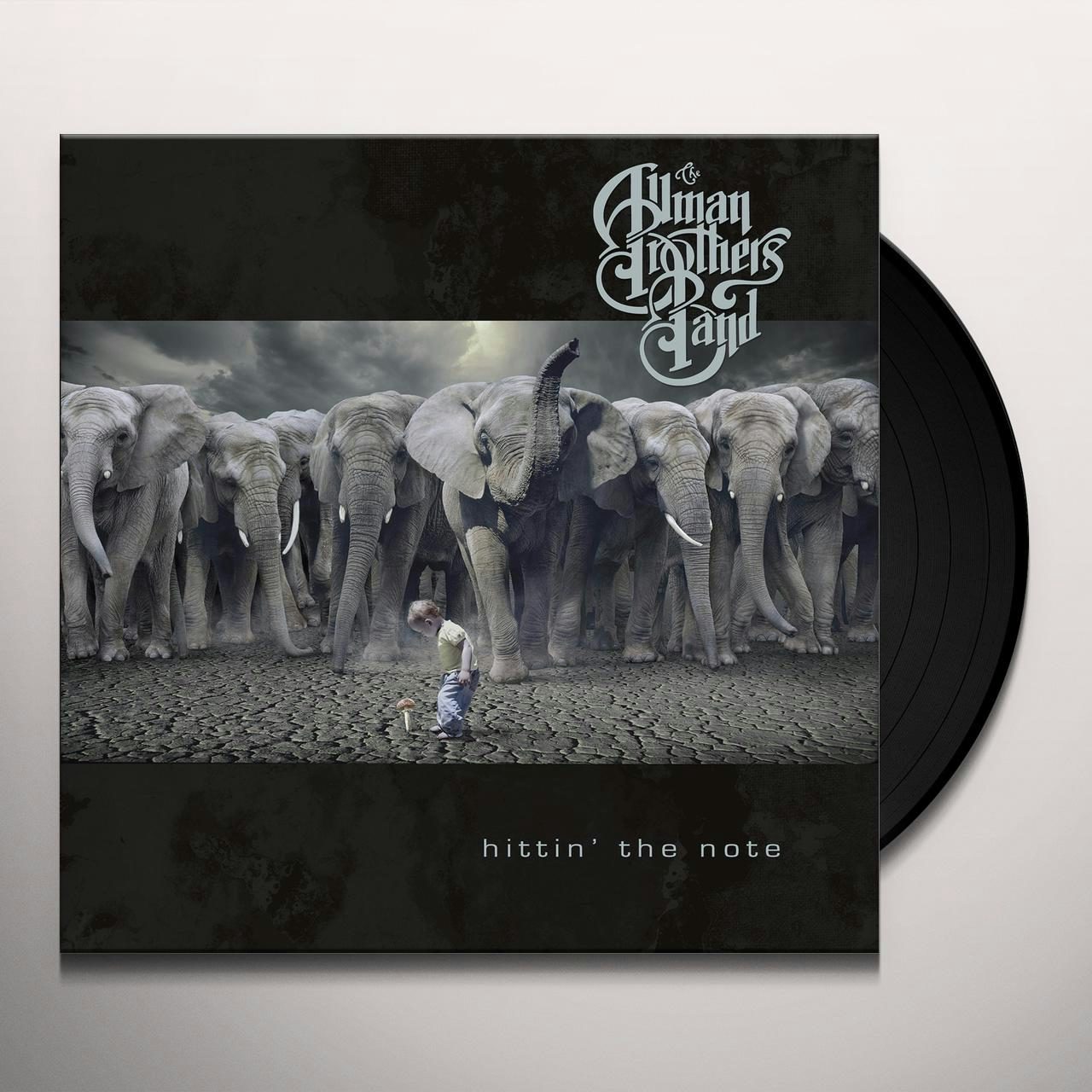 Allman Brothers Band Hittin' The Note Vinyl Record